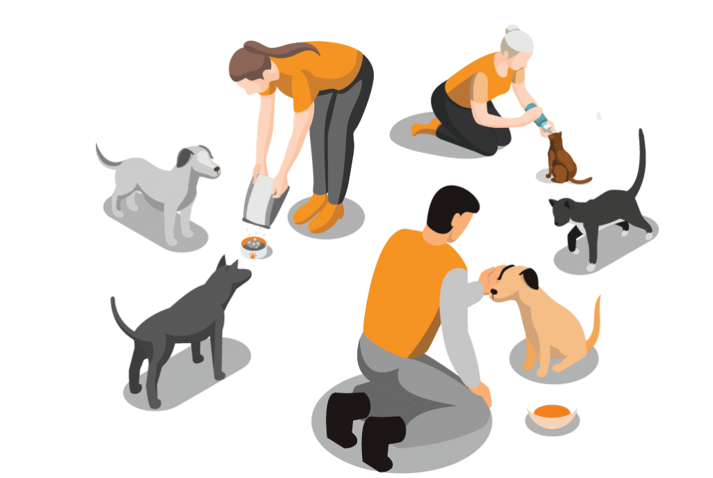 Corporate Social Responsibility | About Us | iPlace